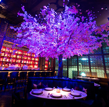 SHI-NUÁ Restaurante - Reserva y Pide Delivery o Take Out en ...